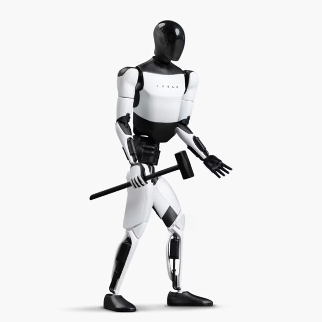 Tesla Bot Action Figure: Because Why Wait For The Real Thing?