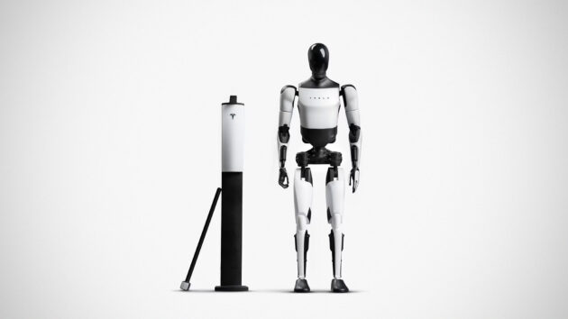 Tesla Bot Action Figure: Because Why Wait For The Real Thing?