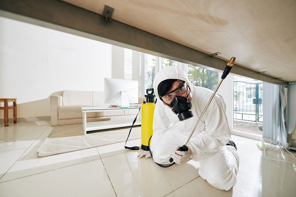 Why DIY Pest Control May Not Be Effective