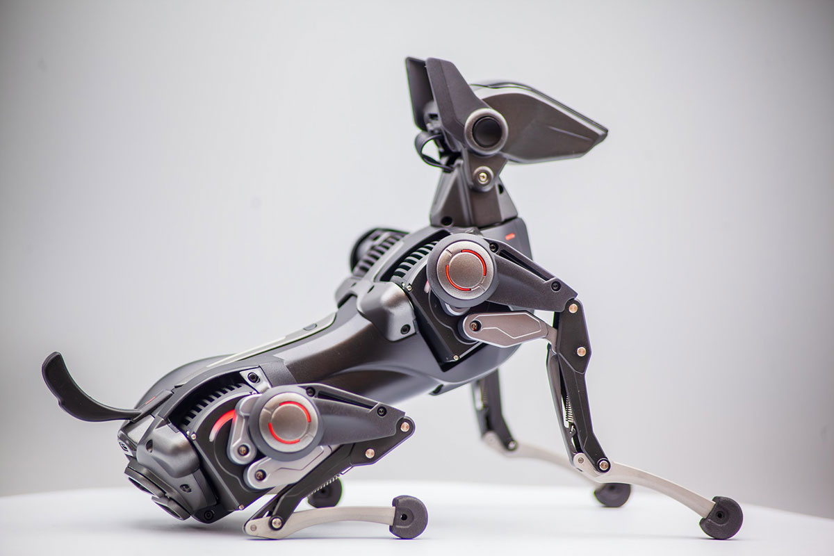 This Is Hengbot Sirius AI Dog. It Is Set To Redefine The World Of ...