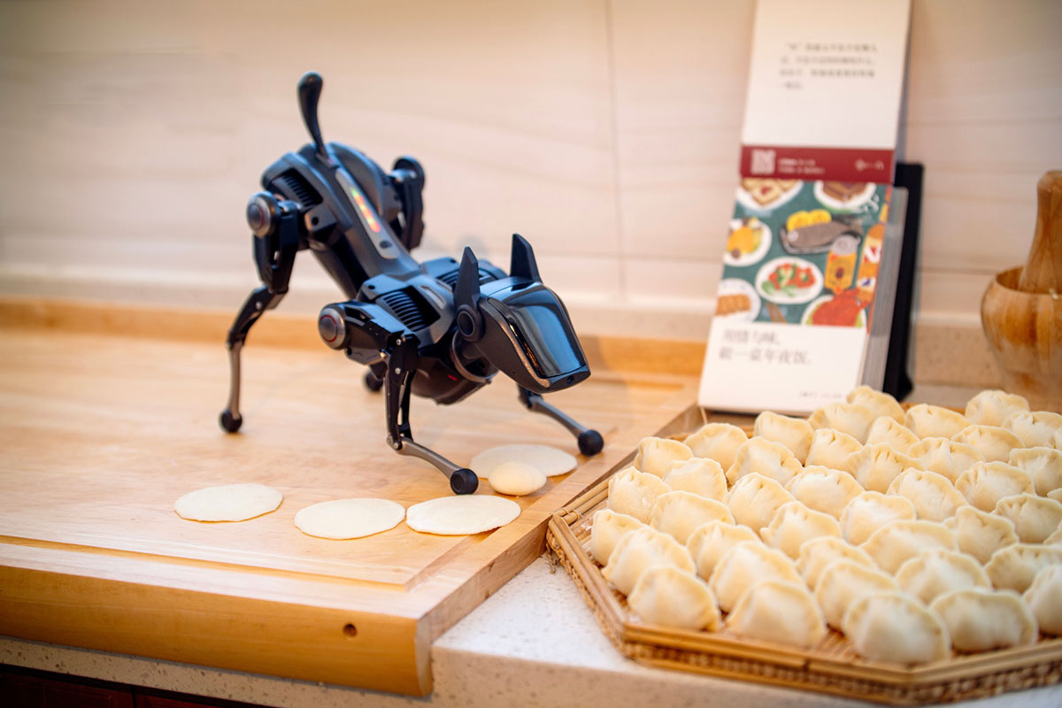 This Is Hengbot Sirius AI Dog. It Is Set To Redefine The World Of ...