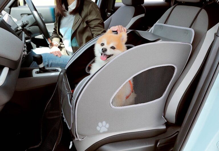 Honda’s Dog-Ready Minivan Is Paw-sitively Delightful