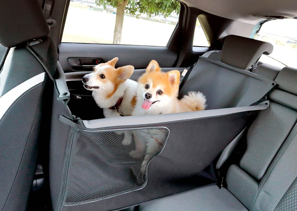 Honda’s Dog-Ready Minivan Is Paw-sitively Delightful