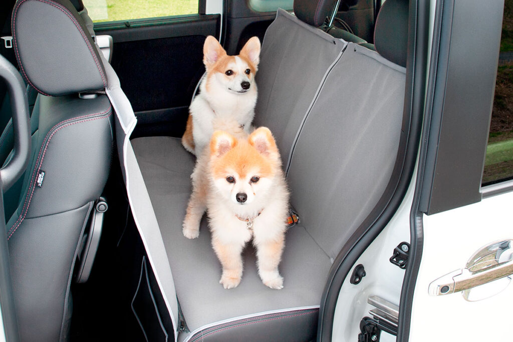 Honda’s Dog-Ready Minivan Is Paw-sitively Delightful
